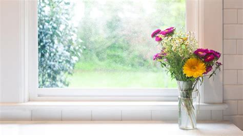 Windows Forbes Home