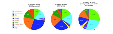 Subcellular Localization Pie Charts Show The Putative Localization Download Scientific