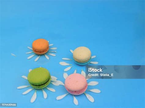 귀여운 데이지 마카롱 국화 꽃잎 꽃과 다채로운 프랑스어 마카롱 카피 스페이스 음식 배경 개념과 파란색 배경에 맛있는 달콤한 디저트 0명에 대한 스톡 사진 및 기타 이미지