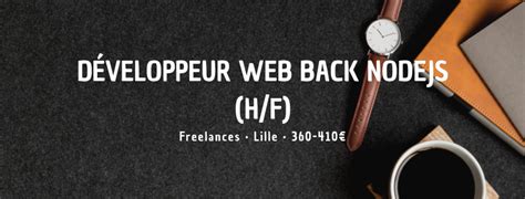 Développeur Web Back Nodejs Hf Insitoo Lille Mission Freelances