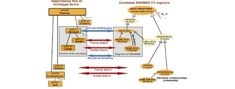 Example Of Application Of Partial String Matches And Structure Based