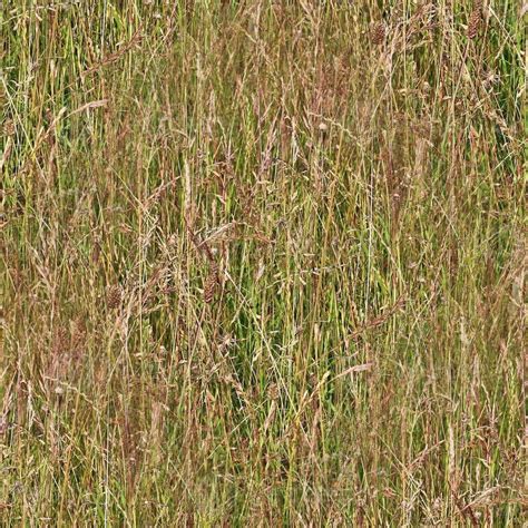 Photo Realistic Seamless Grass Texture In Hires With More Than 6