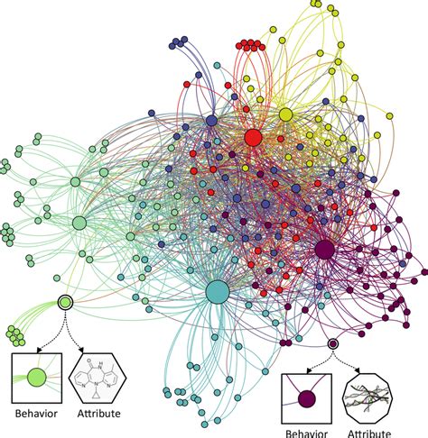 Schematic Diagram Of Molecular Associations Network Different Colored