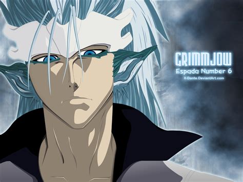🔥 80 Grimmjow Jaggerjack Wallpapers Wallpapersafari