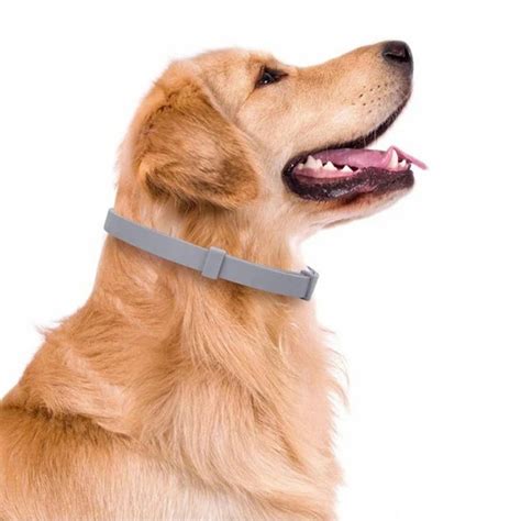 Coleira Anti Pulga Gato Cao Cachorro Pet Carrapato Leishmaniose Canino Felino Tamanho Kit Uni