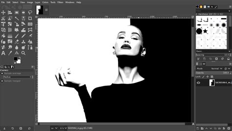 Heres 3 Ways To Make An Image Black And White With GIMP Logos By Nick