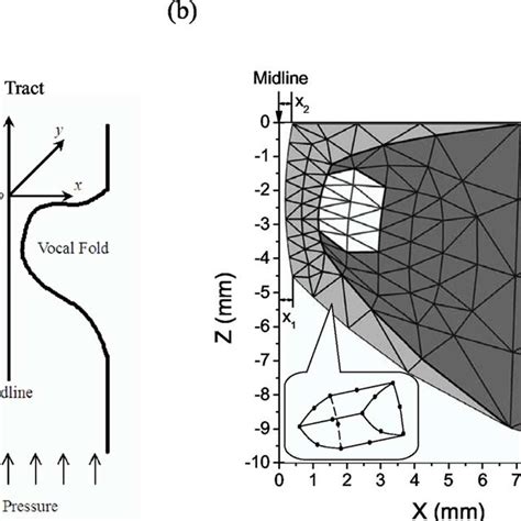 The Surface Nodal Displacement Wave Forms At The Midpoint Y Mm Of Download Scientific