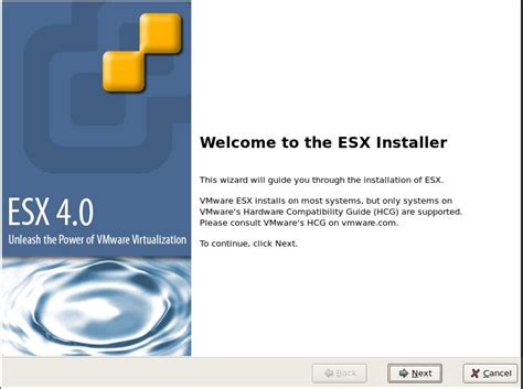 Different Options In Esx Installation