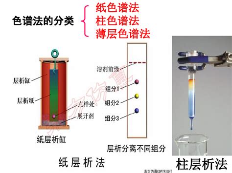 纸层析展开剂 纸层析 伤感说说吧