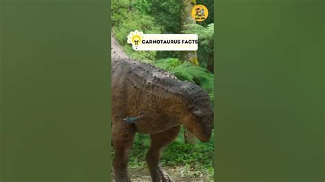 Carnotaurus Facts Carnotaurus Factsvideo Shorts Youtube