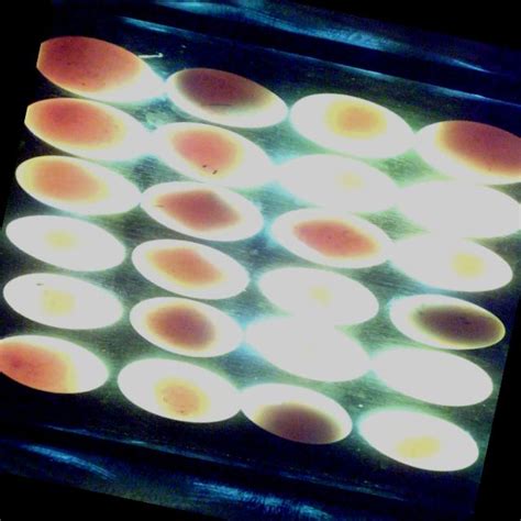 Egg Candling V1 0 Object Detection Model V1 2024 03 11 11 21am By