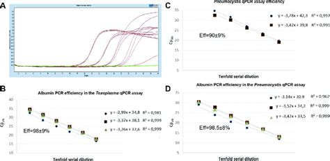 Pcr Efficiencies A Lightcycler Real Time Pcr Amplification Curves In
