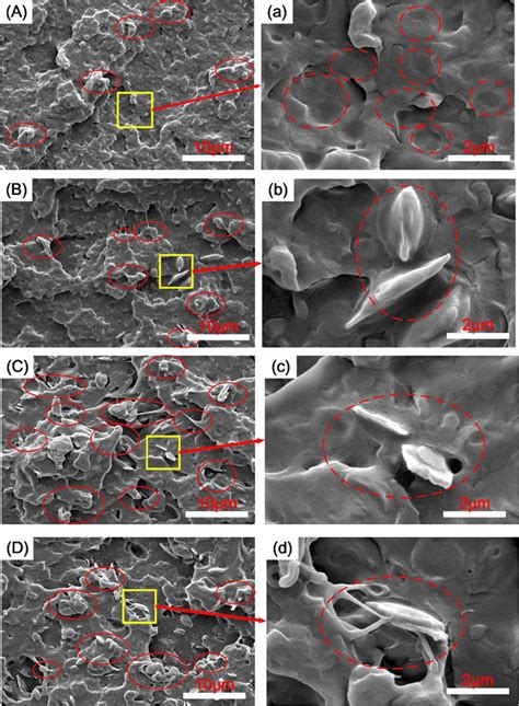 Sem Micrographs Of The Impact Fractured Surface Of Pla Ema−gmazrp