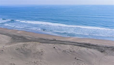 九十九里・東金・山武・大網白里・芝山・横芝光エリア観光ガイド