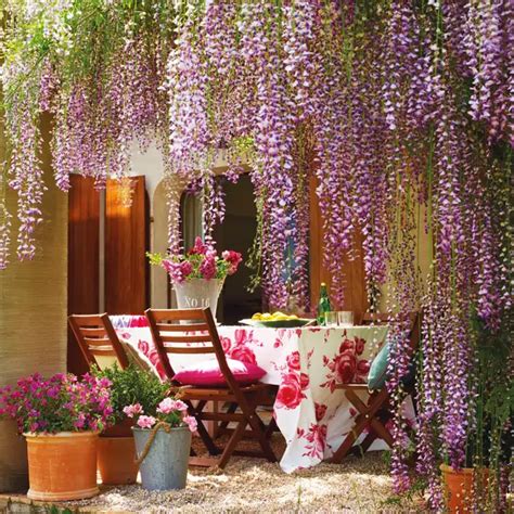 Los Cuidados De La Alegría De La Casa Para Tener Flores Todo El Año