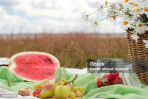 녹색 잔디에 초원에서 여름 피크닉 과일 바구니 주스 병 와인 수박 빵 바게트 흰색 식탁보와 필드 데이지의 꽃다발 0명에 대한 스톡 사진 및 기타 이미지 Istock