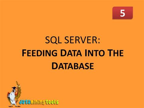 Ms Sqlserverfeeding Data Into Database Pptx