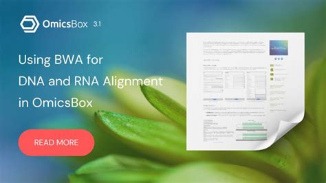 Biobam Bioinformatics On Linkedin Using Bwa For Dna And Rna Alignment In Omicsbox
