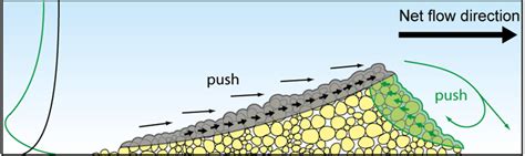 Conceptual Model Illustrating The Hydrodynamic Processes In The Download Scientific Diagram