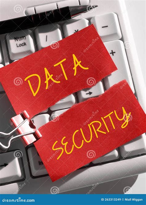 Text Showing Inspiration Data Security Business Concept Confidentiality Disk Encryption Backups