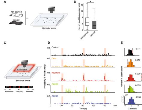 Keystone Ln Activity Triggers Head Sweep Behavior In The Drosophila