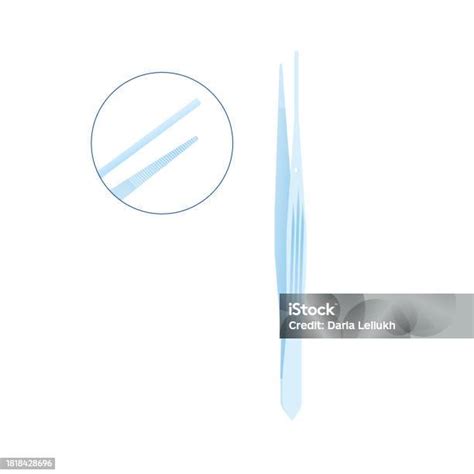 치과용 강철 조직 플라이어 치과 구강 도구 디테일 서클을 닫습니다 현대 평면 벡터 일러스트 레이 션입니다 갈고리 발톱에 대한 스톡 벡터 아트 및 기타 이미지 Istock