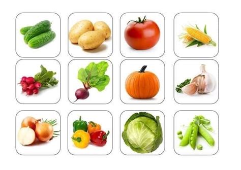 Нар Бага дунд бүлэгт Хүнсний ногоо Зурган карт болгон