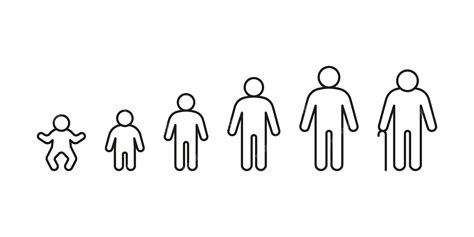 Premium Vector Person Age Life Cycles Line Icon Human Growing Up And
