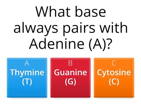 Dna Structure Quiz