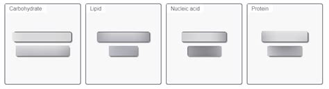 Chapter 4d Post Lab Assignments Diagram Quizlet