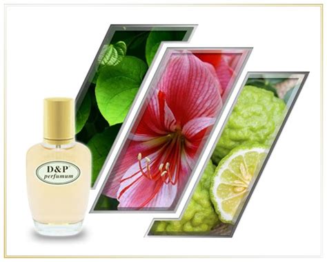 D&P perfumum — Официальный интернет магазин по продаже парфюмерии!