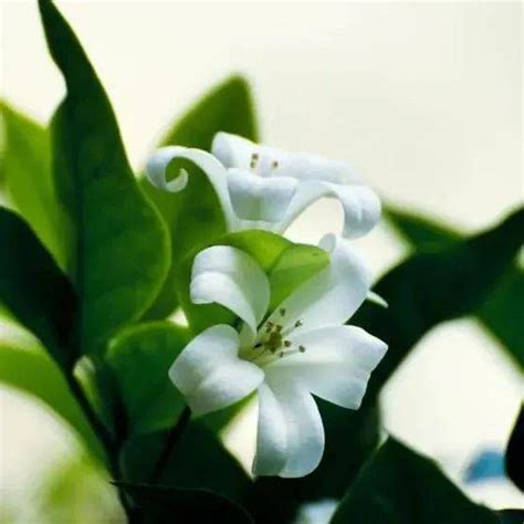 经典十句话，适合任何人（受益）人品才能蒙靠
