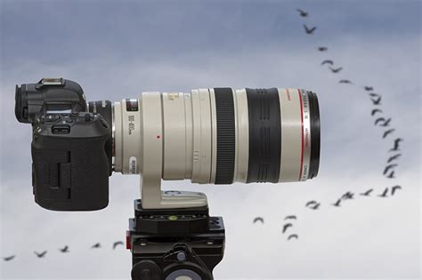Canon EF 100 400mm F 4 5 5 6 L IS USM Test Review Erfahrungsbericht