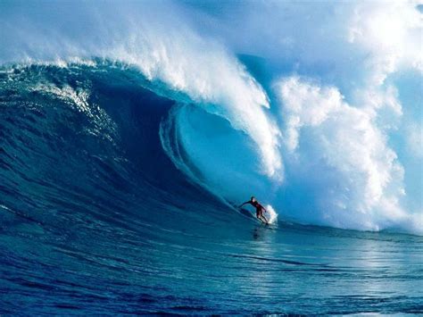 알라딘서재 파도wave가 만들어 낸 예술