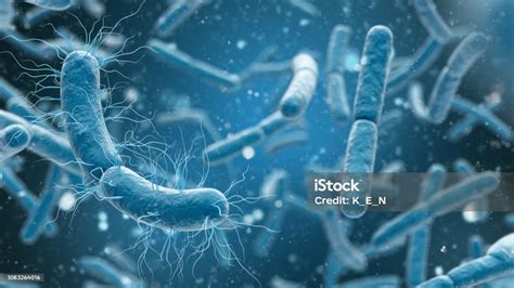 파란색 배경에서 3d 렌더링 박테리아 근접 촬영입니다 대장균에 대한 스톡 사진 및 기타 이미지 대장균 살모넬라균 현미경 Istock