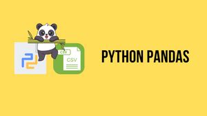Python Pandas For Network Engineers