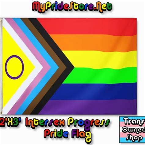 2x3 Progress Pride Flags Etsy