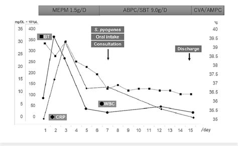 The Clinical Course Of The Patient BT Body Temperature CRP Download Scientific Diagram