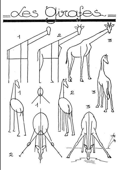 Giraffes Step By Step Drawing Instructions Free Printable Puzzle Games