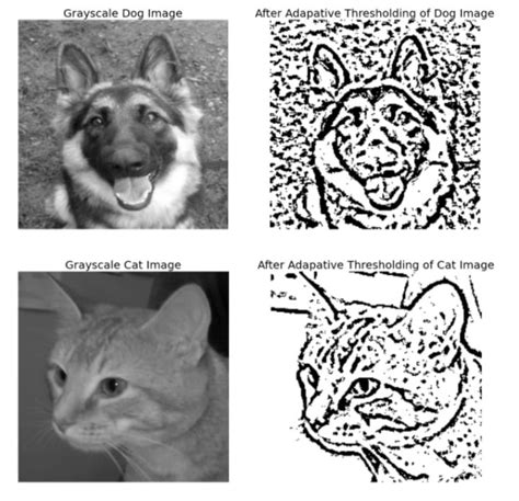 Do Custom Opencv Solutions Image Processing Object Detection Ocr And More By Wahababbasi