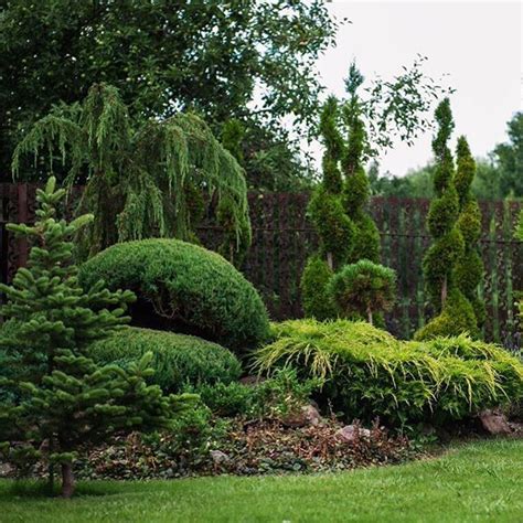 a garden with trees and bushes in it