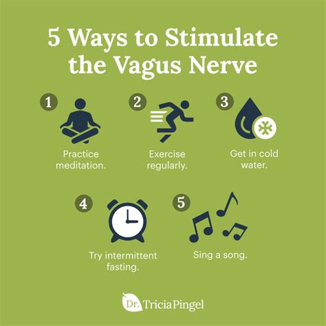 Vagus Nerve Function How It Calms You 5 Ways To Stimulate It Dr Tricia Pingel
