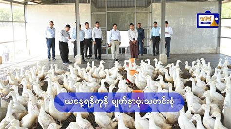 ယနေ့ရန်ကုန် မျက်နှာဖုံးသတင်းစုံ ၂ ၁၂ ၂၀၂၄ Youtube