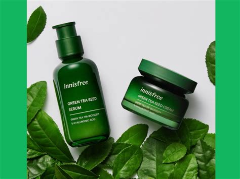 이니스프리 리브랜딩 제주 비자림의 짙은 녹음이 사라졌다 디자인 나침반