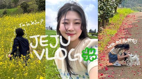 Vlog 3박 4일 제주도 여행 브이로그 Jeju Travel Vlog 애견동반 여행우진해장국우도겹동백길함덕해수욕장
