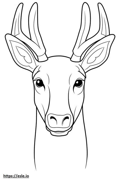 Caribou Face Coloring Page Caribou Face Coloring Page