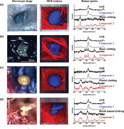 Figure 3 From Raman Spectroscopy For Forensic Purposes Recent