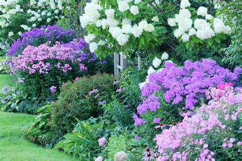 Клумба с гортензией схема 39 фото НА ДАЧЕ ФОТО