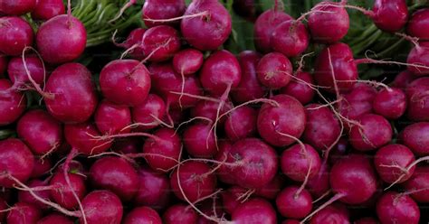 녹색 잎 위에 앉아있는 붉은 무 더미 사진 Unsplash의 무 이미지