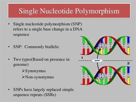 Worldwide Single Nucleotide Polymorphism Snp Genotyping Market Key